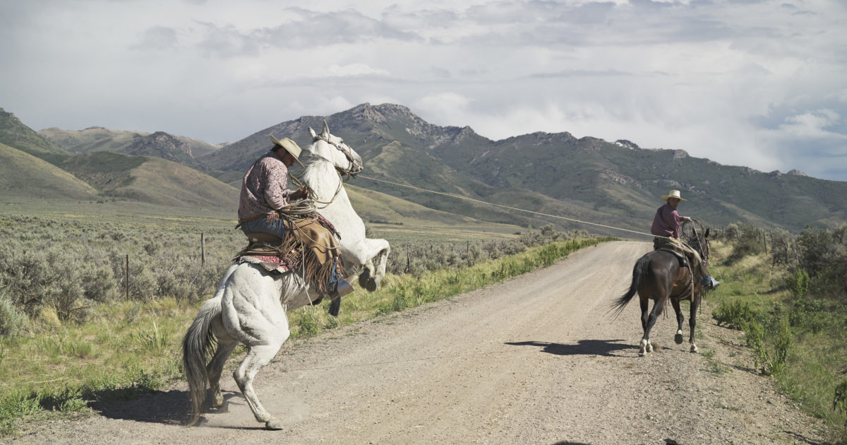 The changing landscapes of the modern American cowboy - 1854 Photography