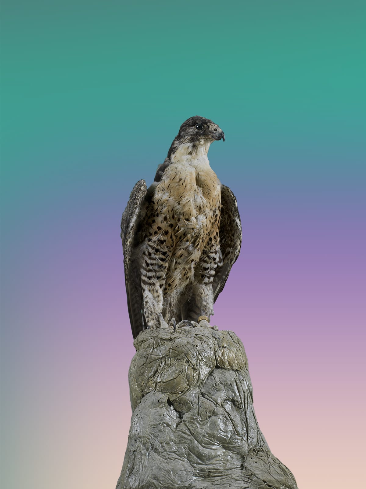 Parataxic Distortion in Dubai - 1854 Photography