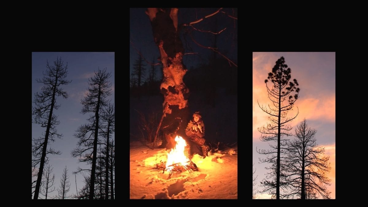 Renaissance Man: Bill Viola unveils final work for St Paul’s Cathedral ...