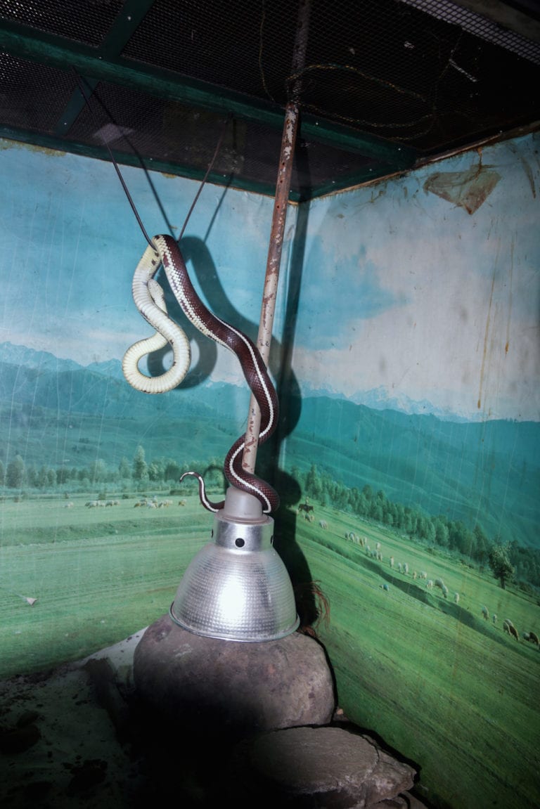 Feng Li's feted first book White Night - 1854 Photography