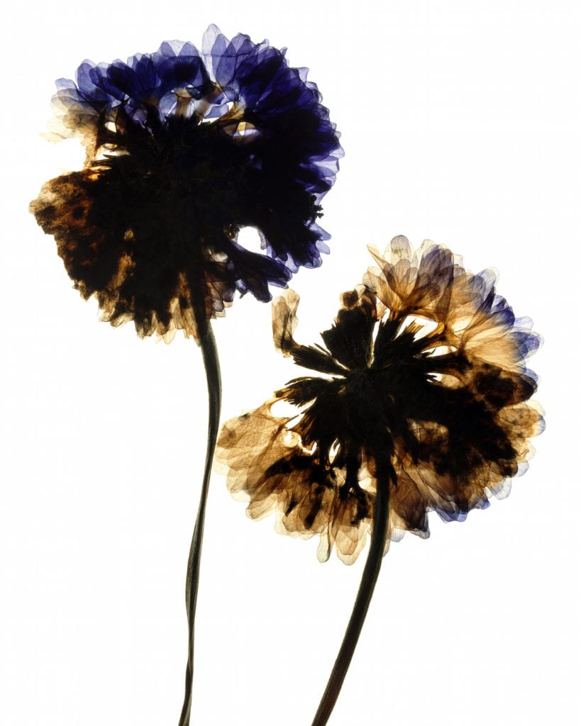 Edmund Clark's immersive study of prison life goes on show at the Ikon ...