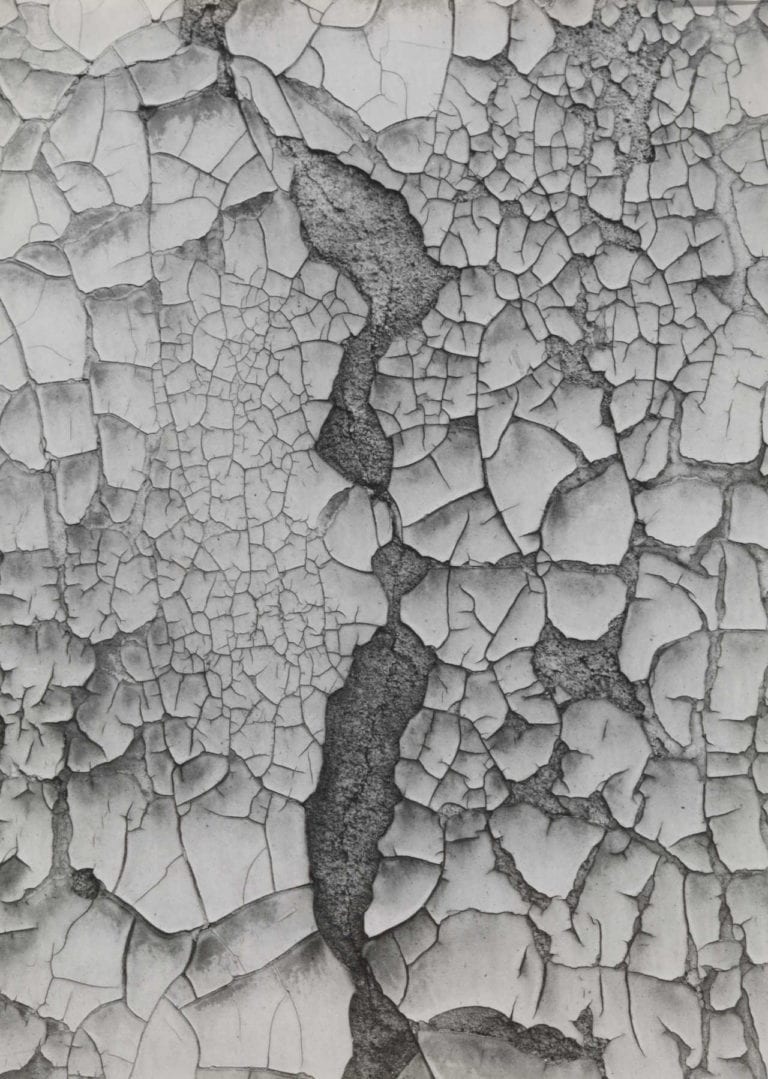 Tate Modern traces the development of photography and abstract art ...