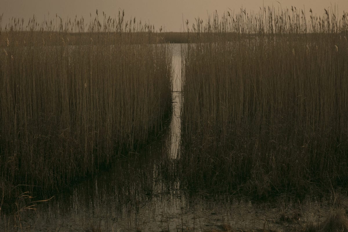 Laura Stevens: The beauty of getting lost - 1854 Photography