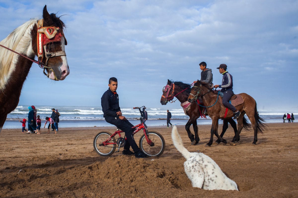 Contemporary African Photography Prize winners announced - 1854 Photography