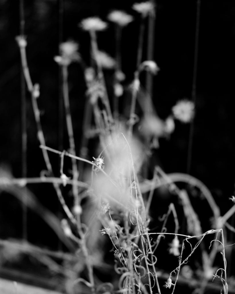 Surreal portraits of South London’s multiplicity by Lewis Khan - 1854 ...