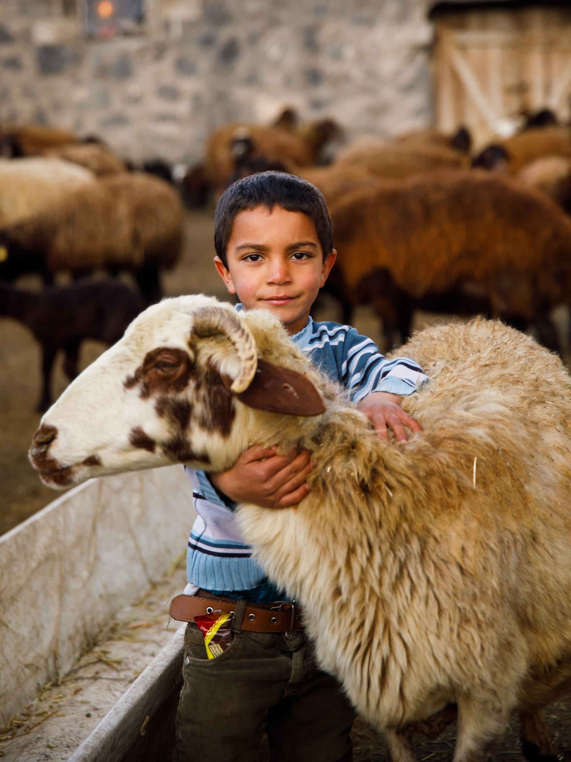 Portrait of Humanity: Can photography change the world? - 1854 Photography