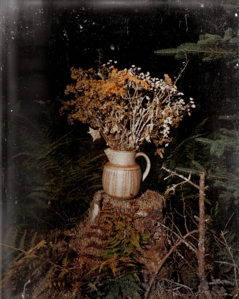 Minor White Archives - 1854 Photography