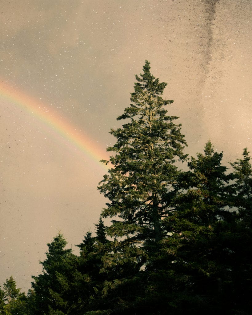 Q&A: Paul Thulin's Pine Tree Ballads - 1854 Photography