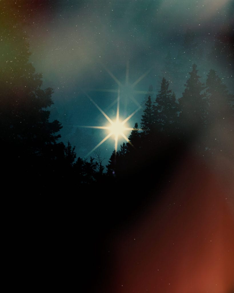 Q&A: Paul Thulin's Pine Tree Ballads - 1854 Photography