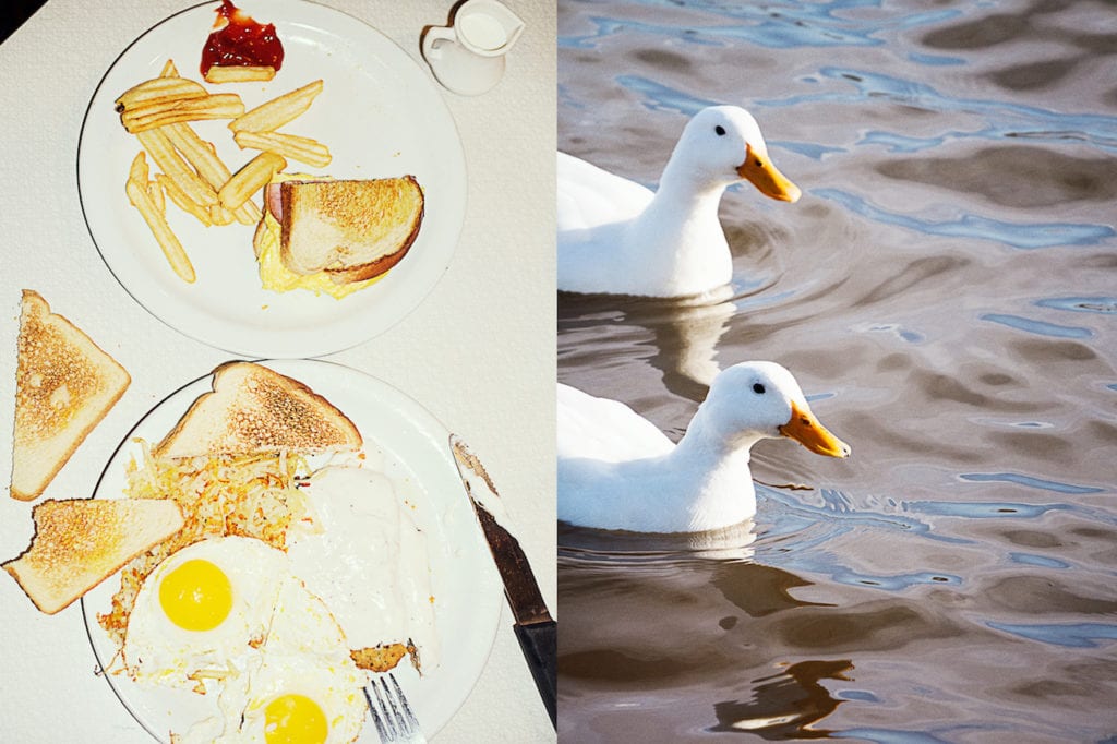 Hiro Tanaka on tour and beyond - 1854 Photography