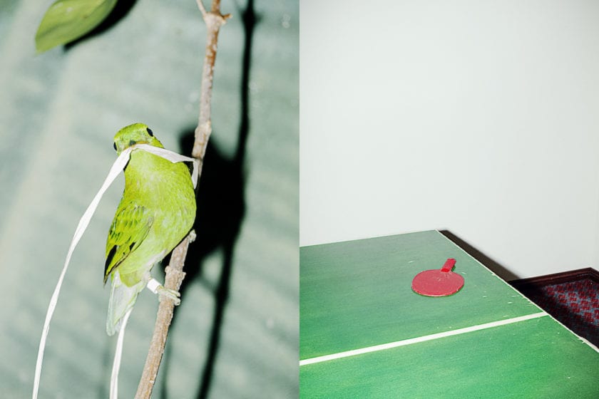 Hiro Tanaka on tour and beyond - 1854 Photography