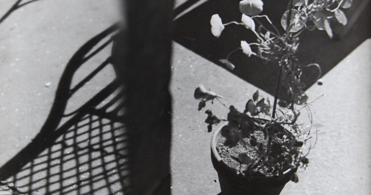 Florence Henri: Reflecting Bauhaus - 1854 Photography