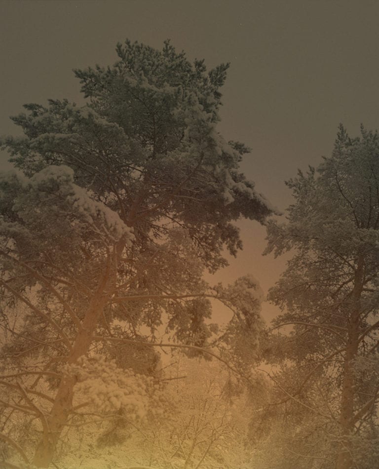 Elf Dalia by Maja Daniels - 1854 Photography