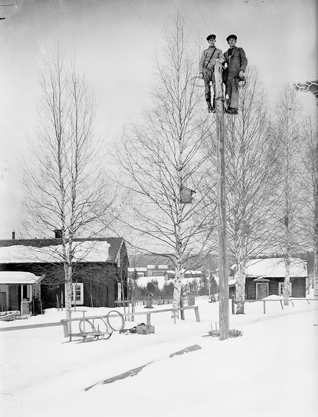 Elf Dalia by Maja Daniels - 1854 Photography