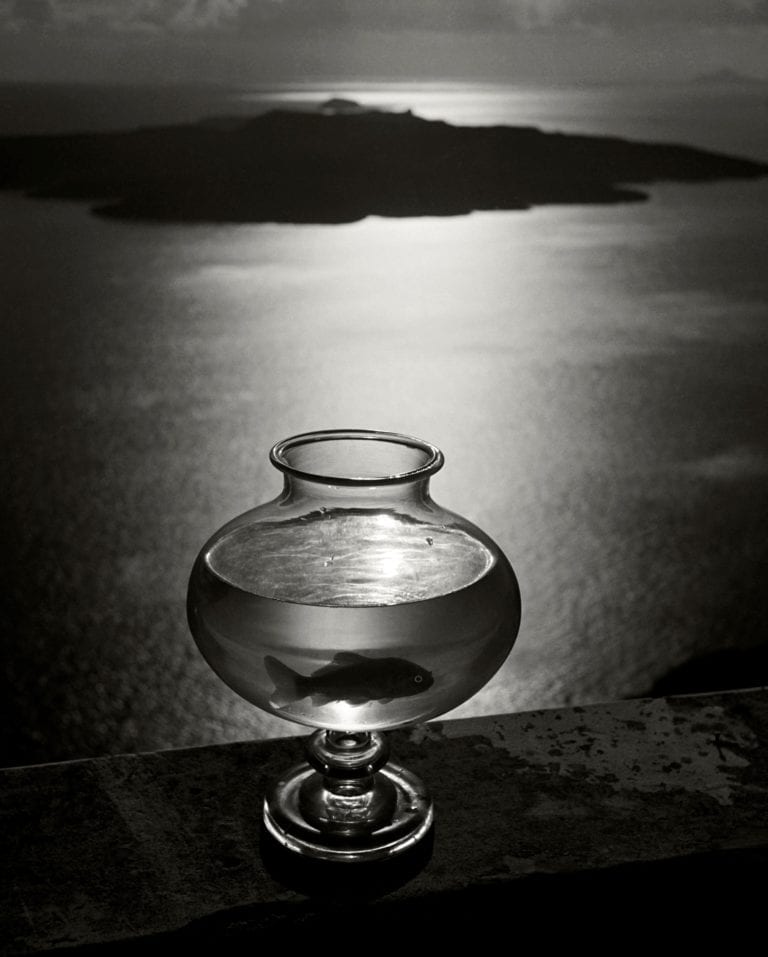 Herbert List: Young Men & Still Lifes - 1854 Photography