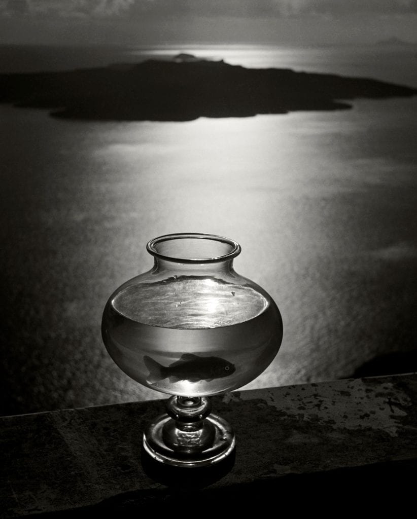 Herbert List: Young Men & Still Lifes - 1854 Photography