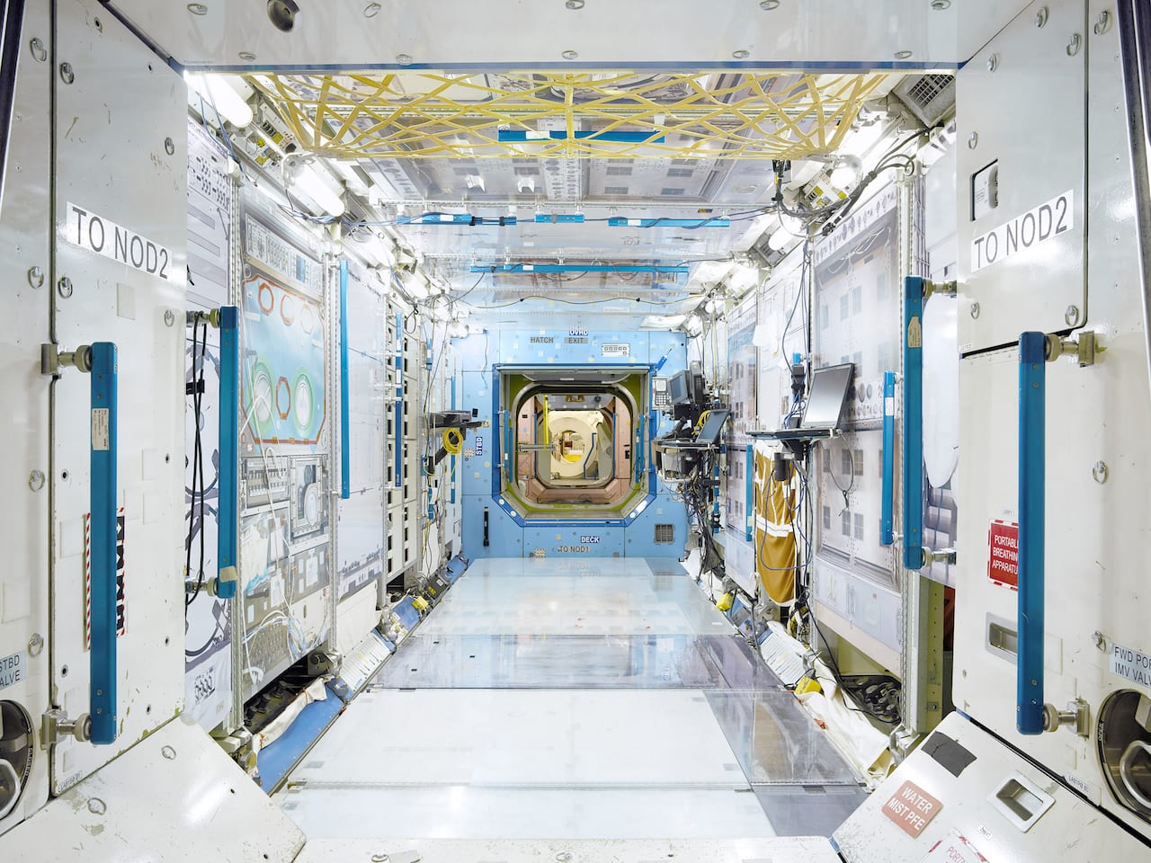 Benedict Redgrove’s past and present dreams of the future - 1854 ...