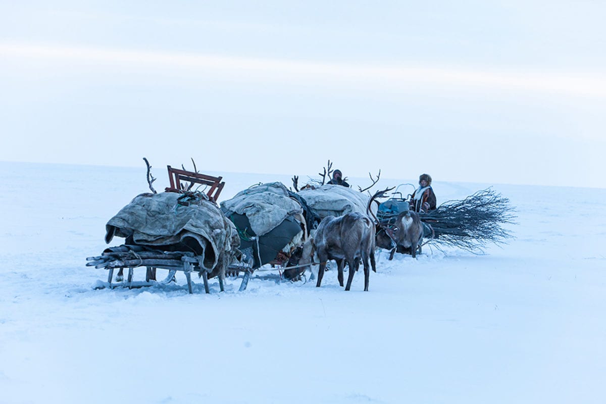 A window into the life of indigenous women in the Siberian Arctic ...