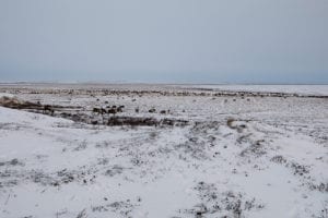 A window into the life of indigenous women in the Siberian Arctic ...