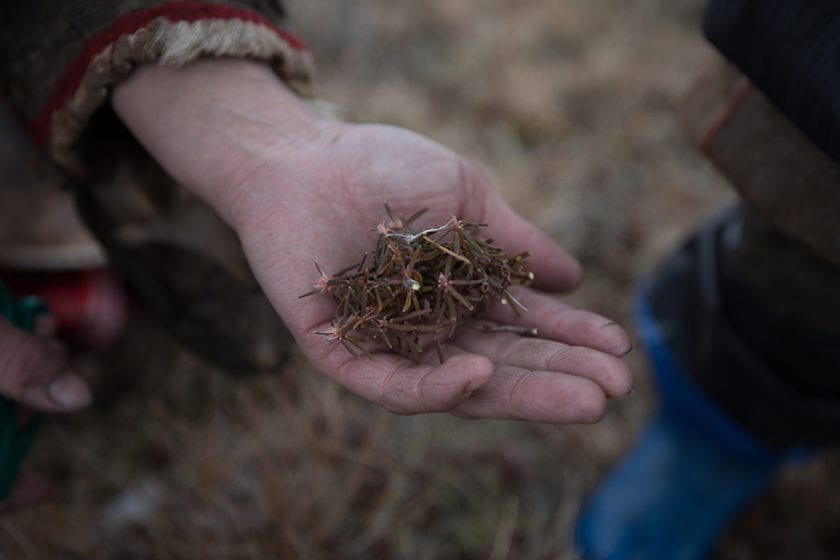 A window into the life of indigenous women in the Siberian Arctic ...