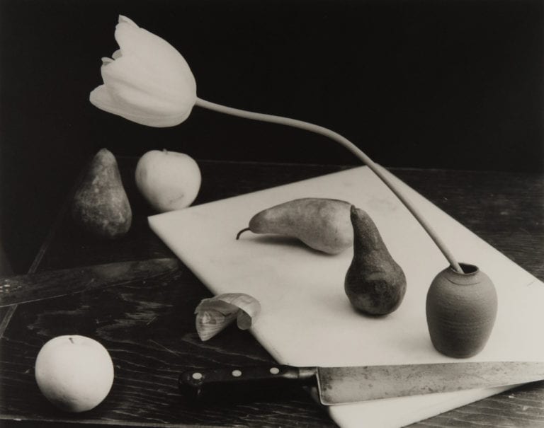 Jan Groover: Laboratory of Forms - 1854 Photography