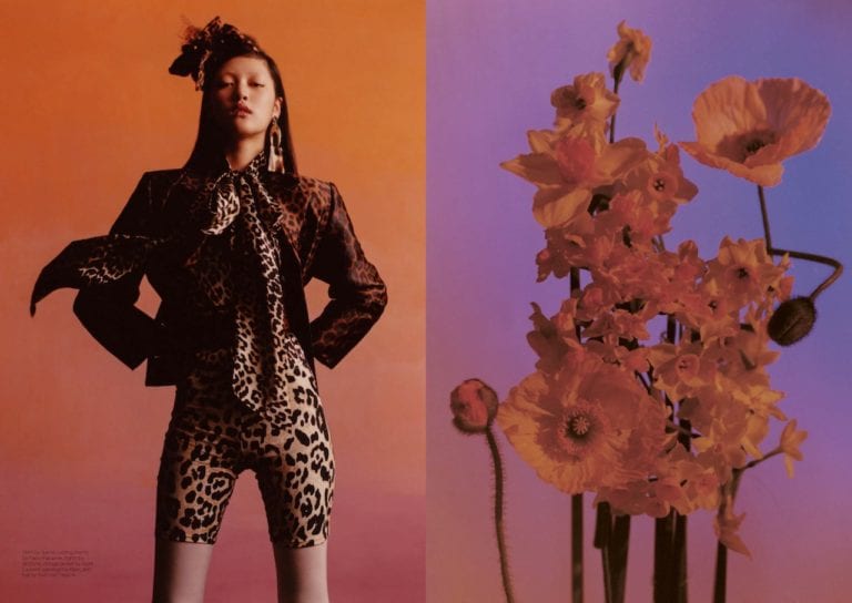 Dada Issue #1: An ode to Araki - 1854 Photography