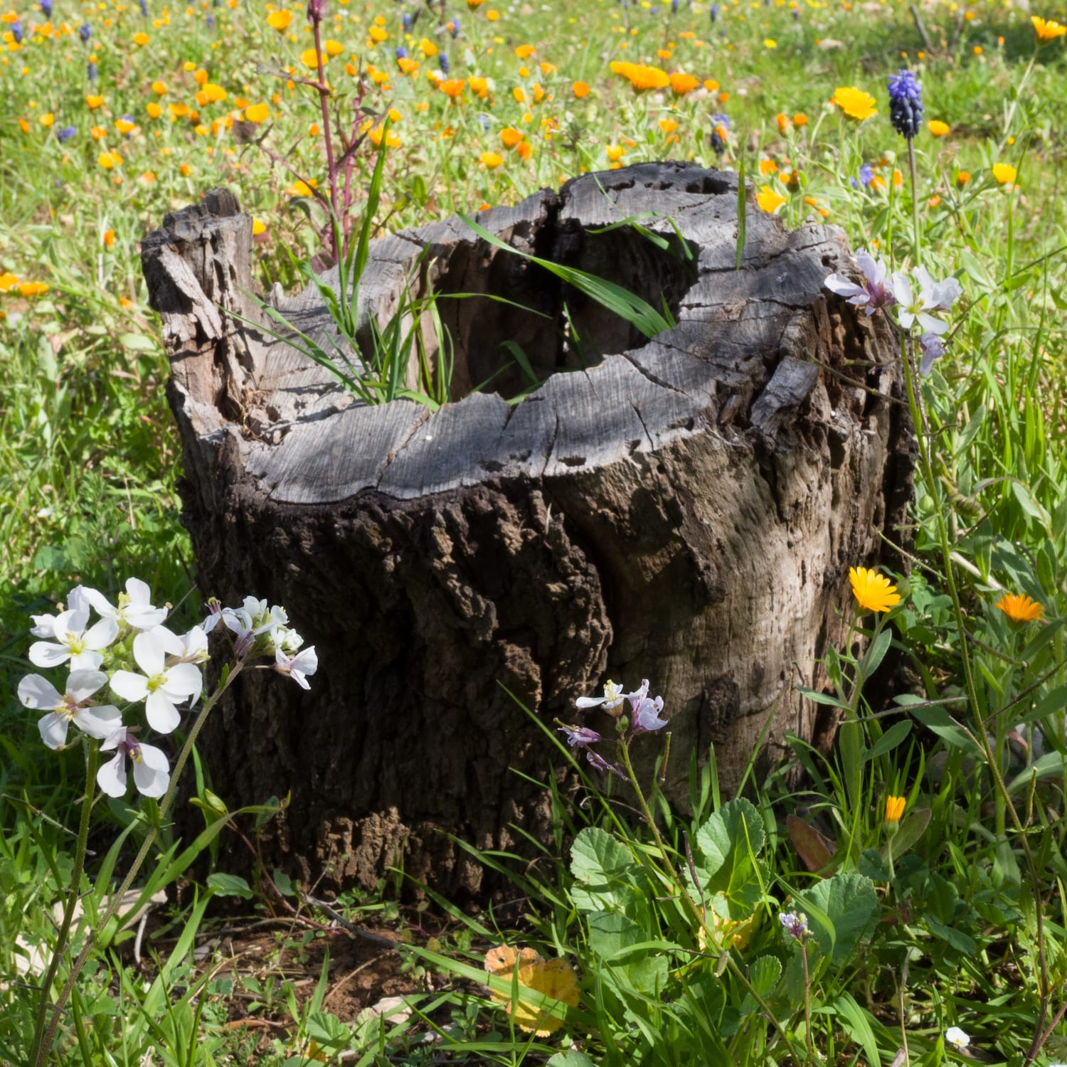 Q&A: Piero Percoco's The Rainbow is Underestimated