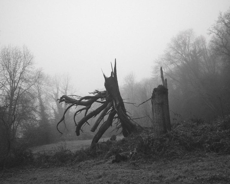 Robert Darch's poetic response to the Brexit vote