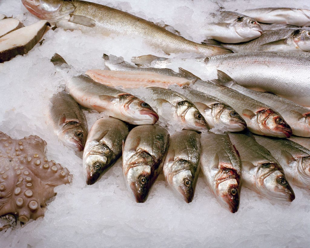 An unlikely portrait of W.A.S.P America - 1854 Photography