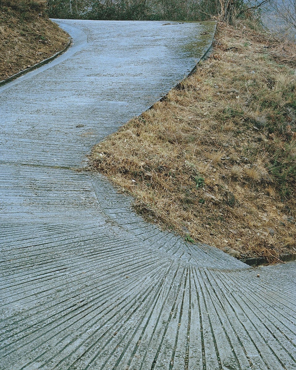 The auras of Michael Swann's photographs envelop us - 1854 Photography