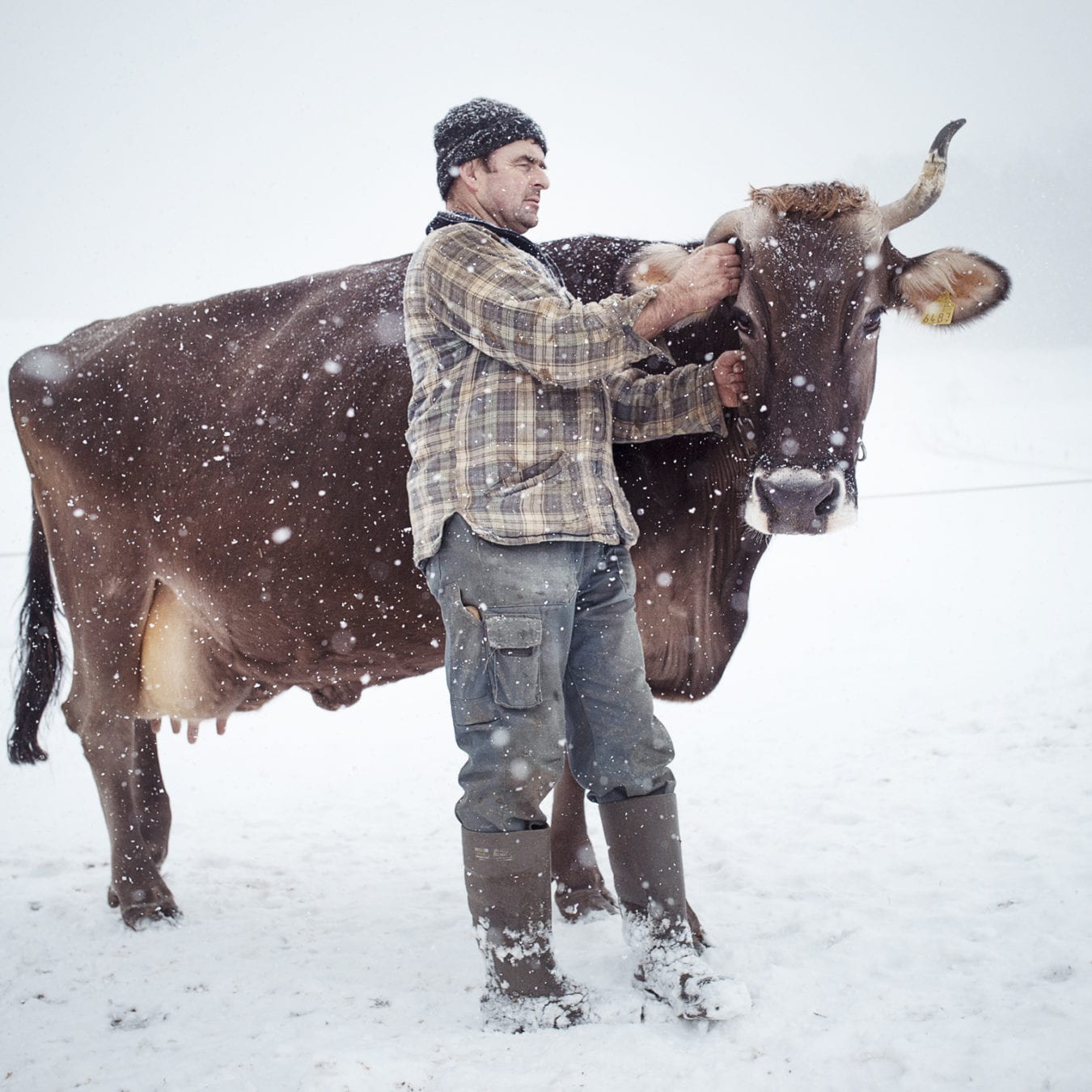 An objective window into the history and present of small-scale Alpine ...