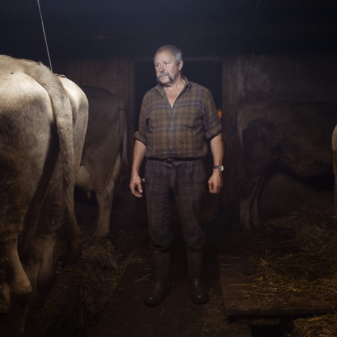 An objective window into the history and present of small-scale Alpine ...