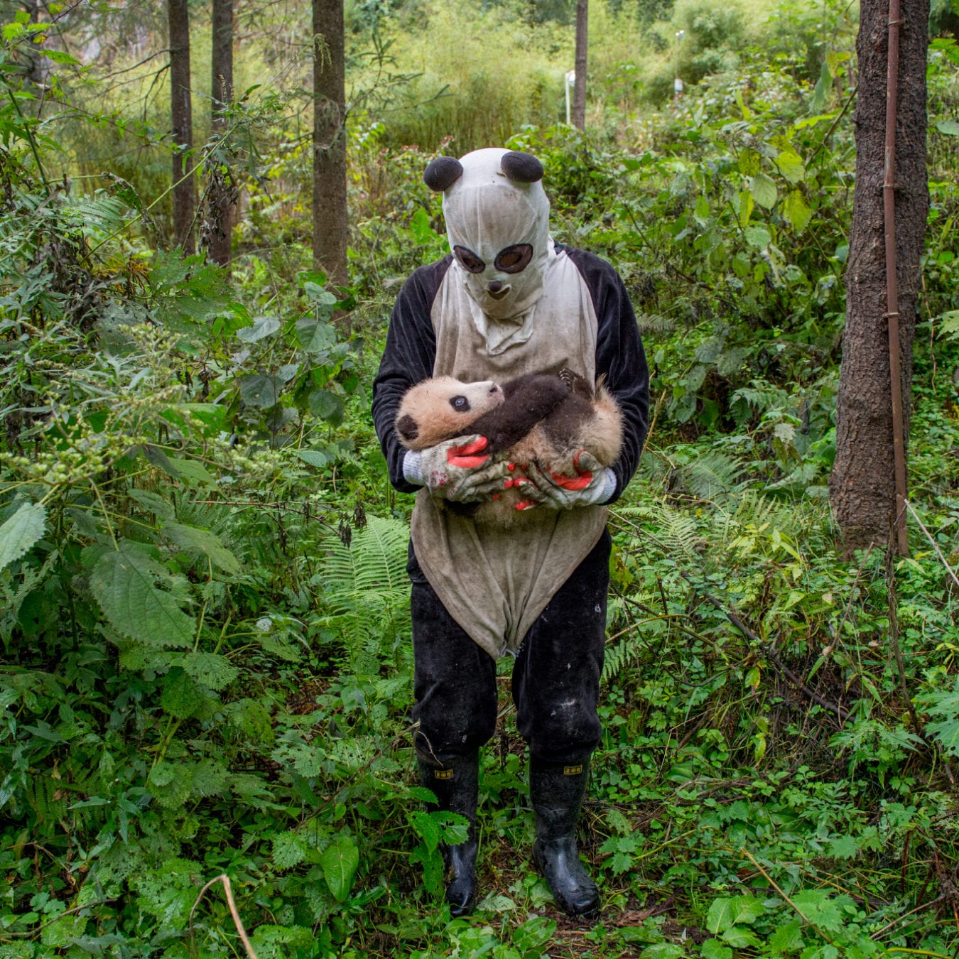Ami Vitale on the role of photography in conservation - 1854 Photography