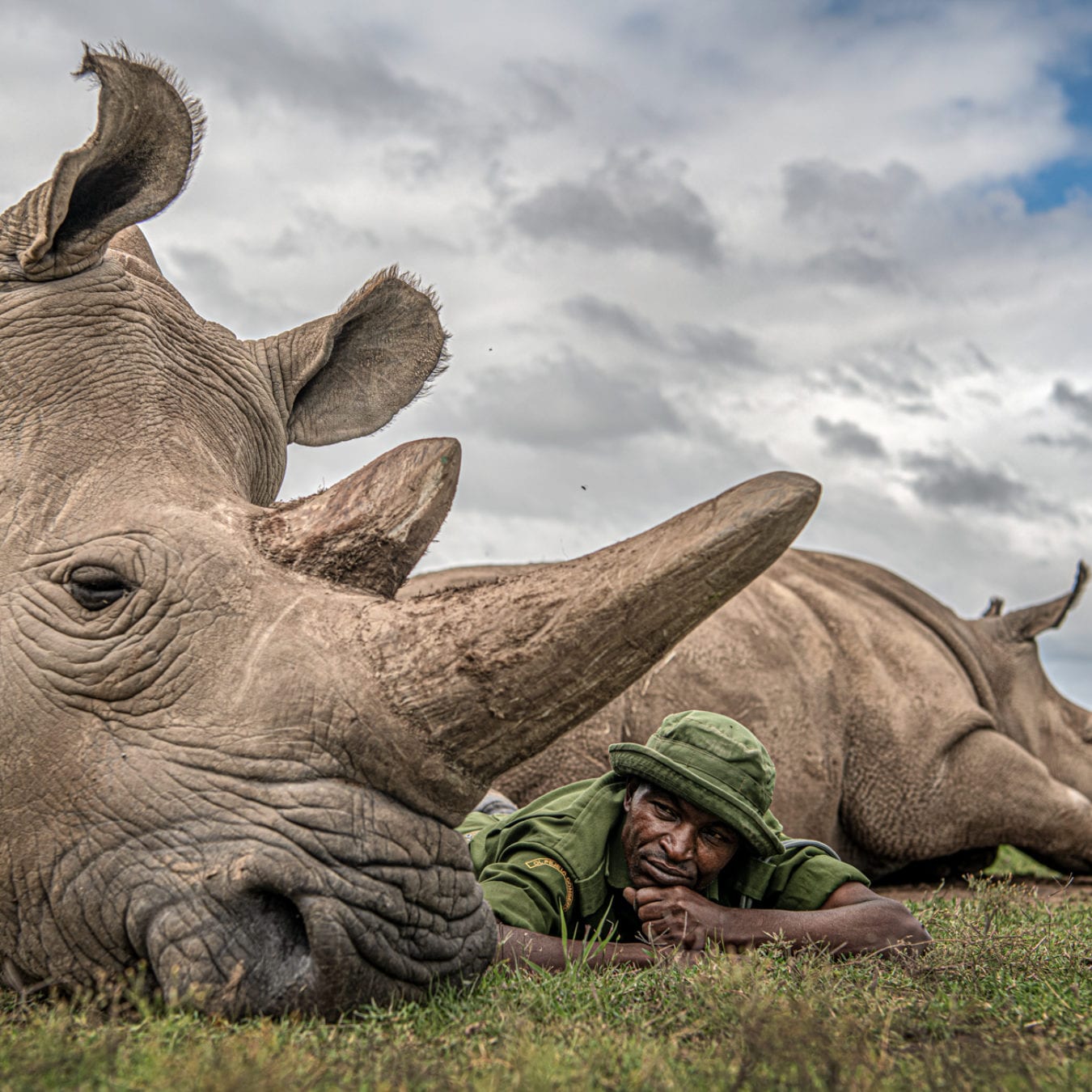 Ami Vitale on the role of photography in conservation - 1854 Photography
