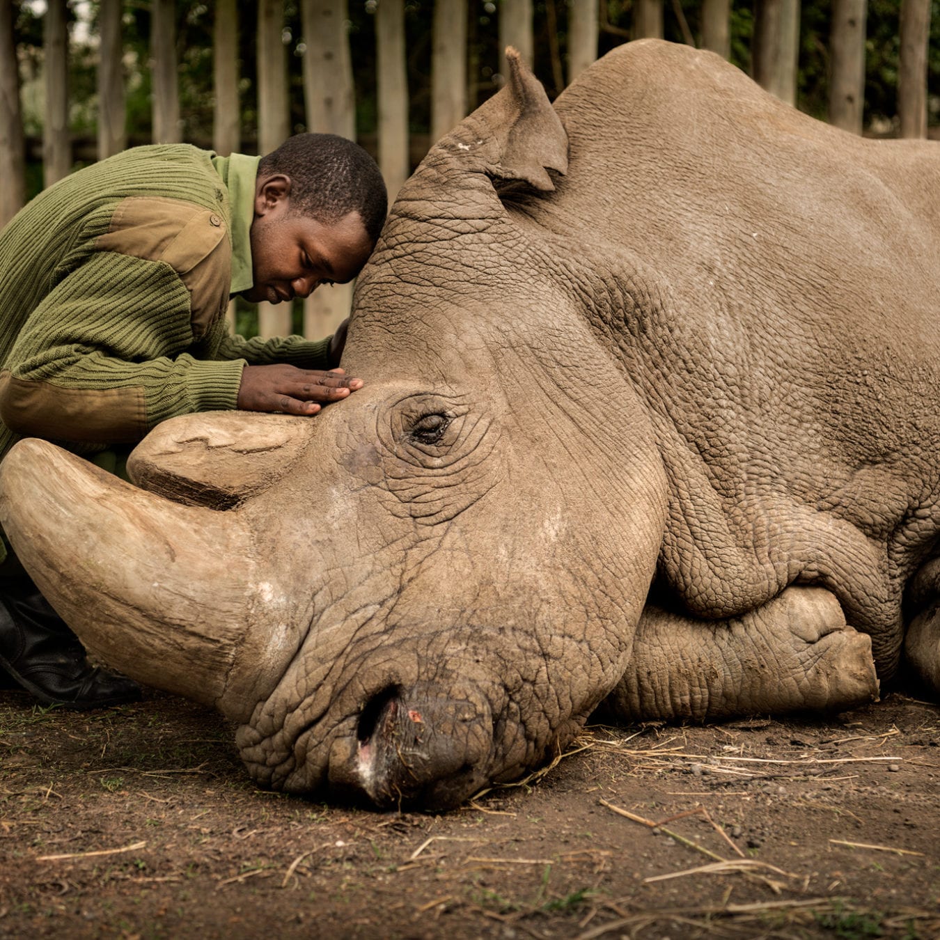 Ami Vitale on the role of photography in conservation - 1854 Photography