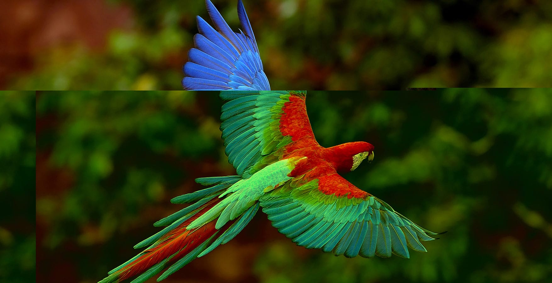 Elsa Leydier' glitch in the system - British Journal of Photography