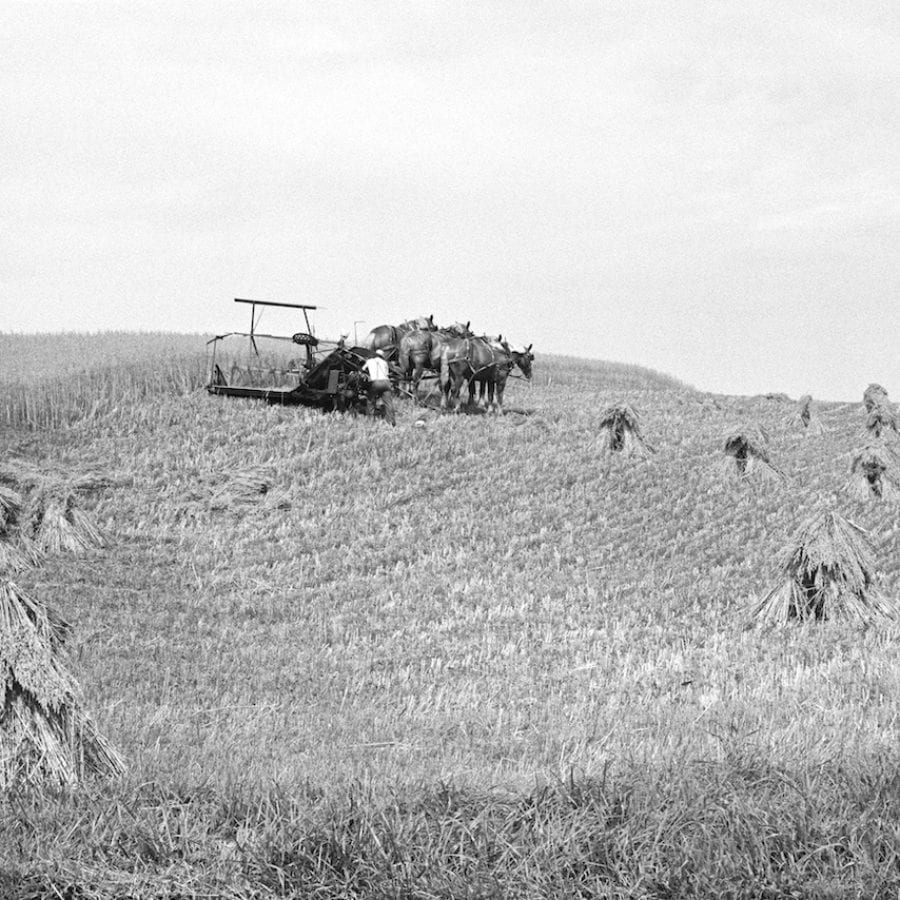 Jesse Lenz depicts childhood freedom and serenity amongst nature - 1854 ...