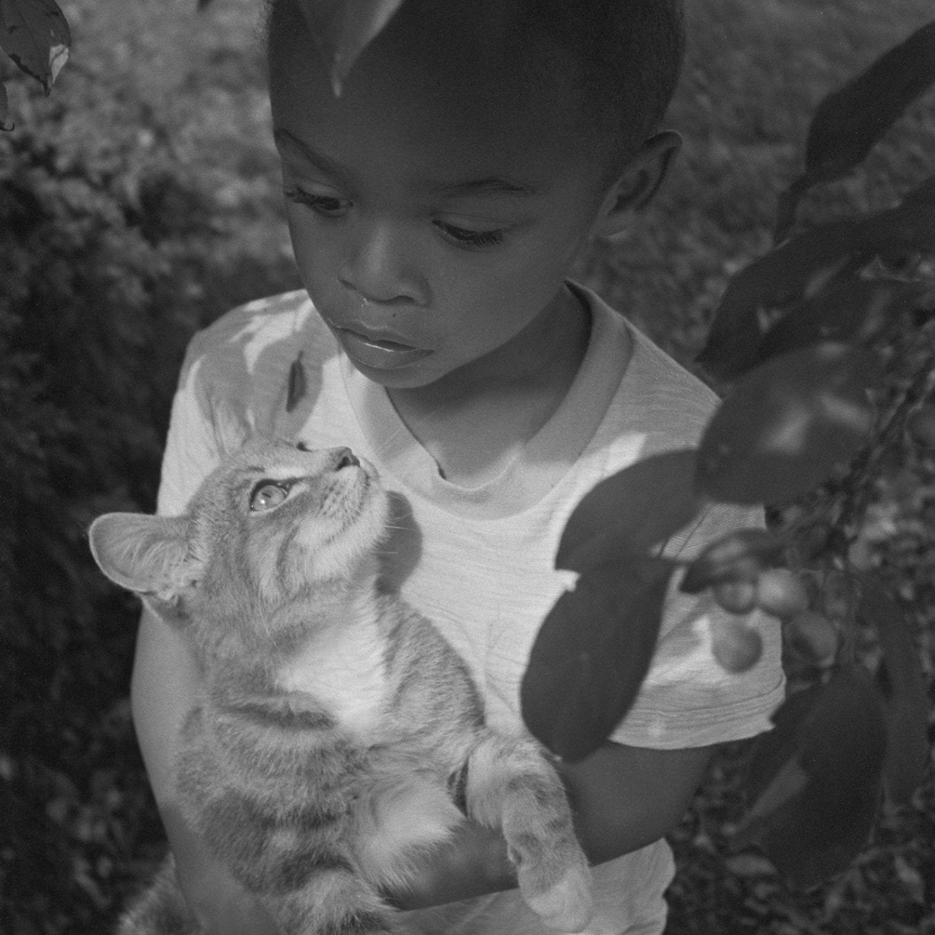 Jesse Lenz depicts childhood freedom and serenity amongst nature - 1854 ...