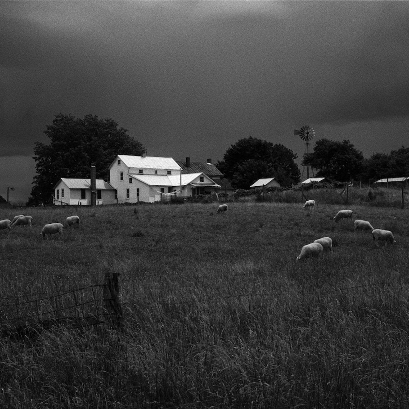 Jesse Lenz depicts childhood freedom and serenity amongst nature - 1854 ...