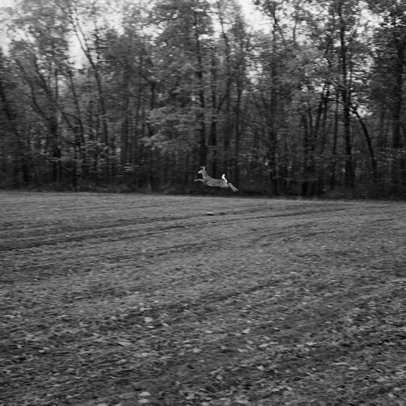 Jesse Lenz depicts childhood freedom and serenity amongst nature - 1854 ...