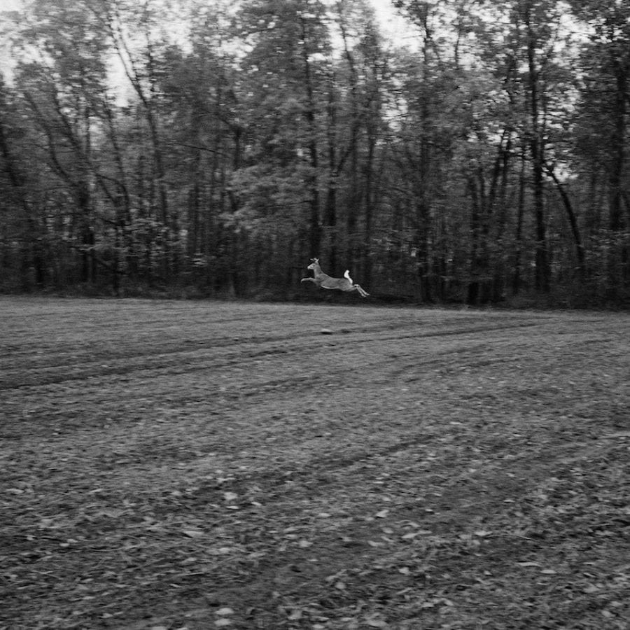 Jesse Lenz depicts childhood freedom and serenity amongst nature - 1854 ...