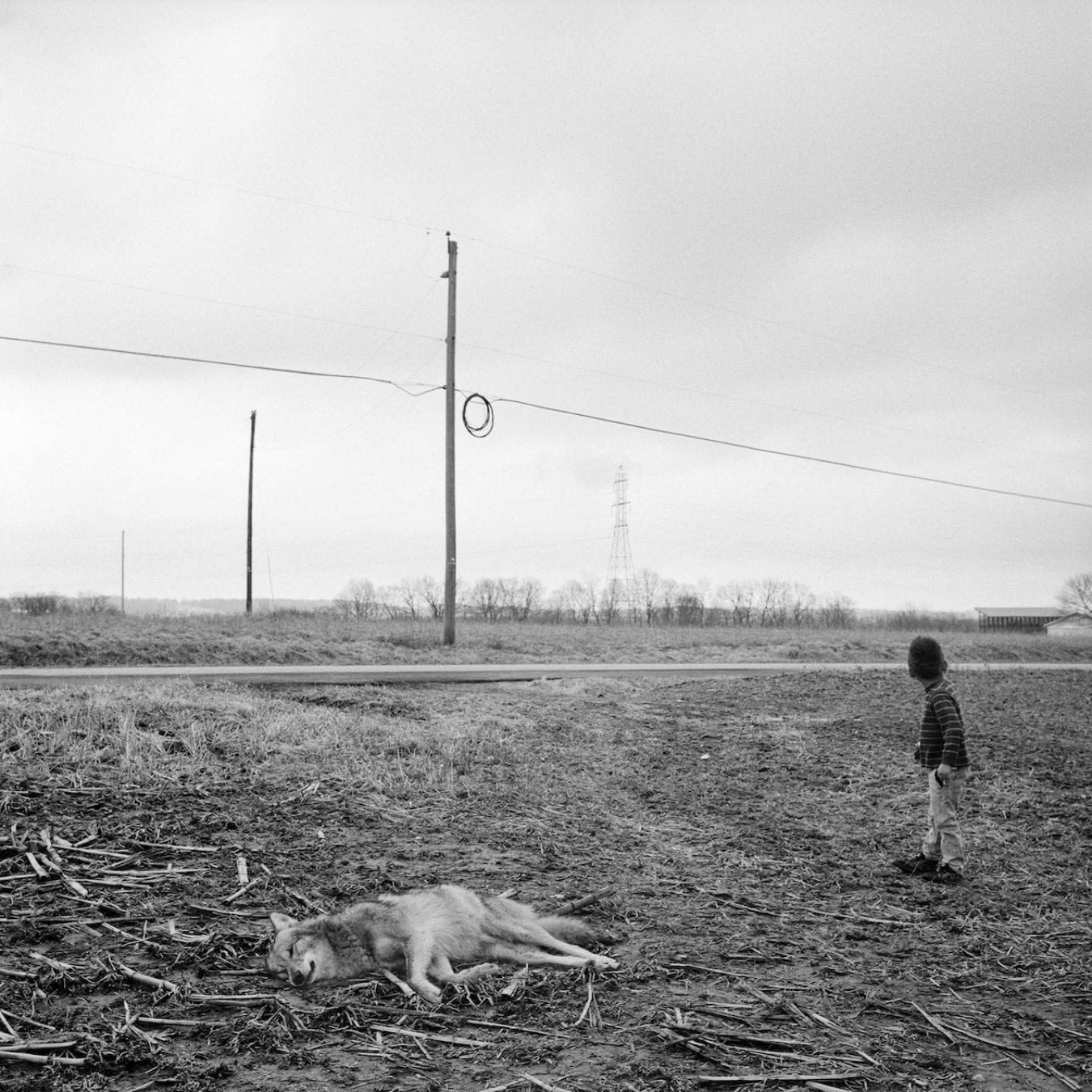 Jesse Lenz depicts childhood freedom and serenity amongst nature - 1854 ...