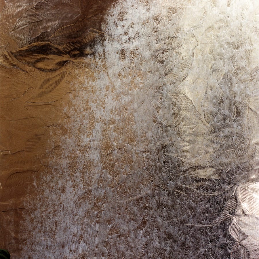 Still Life by Same Paper - British Journal of Photogrpahy