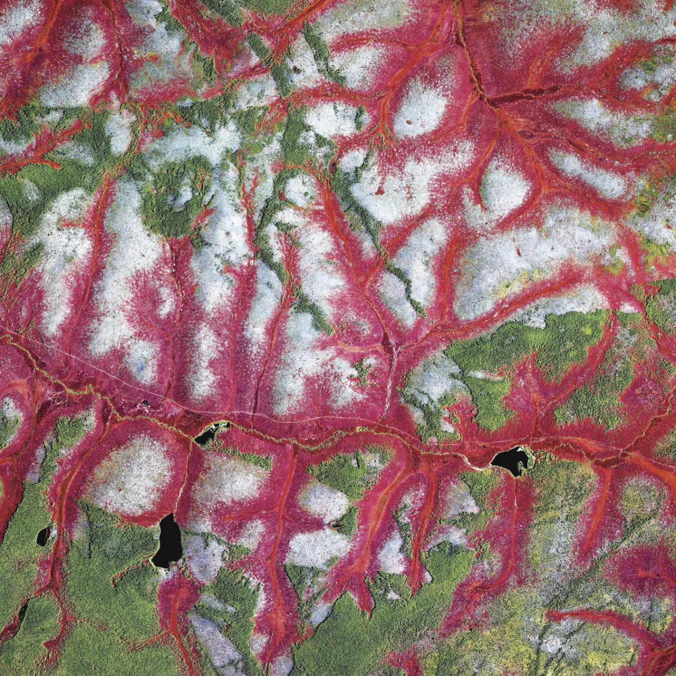 1854 Presents: Benjamin Grant and the big picture - 1854 Photography