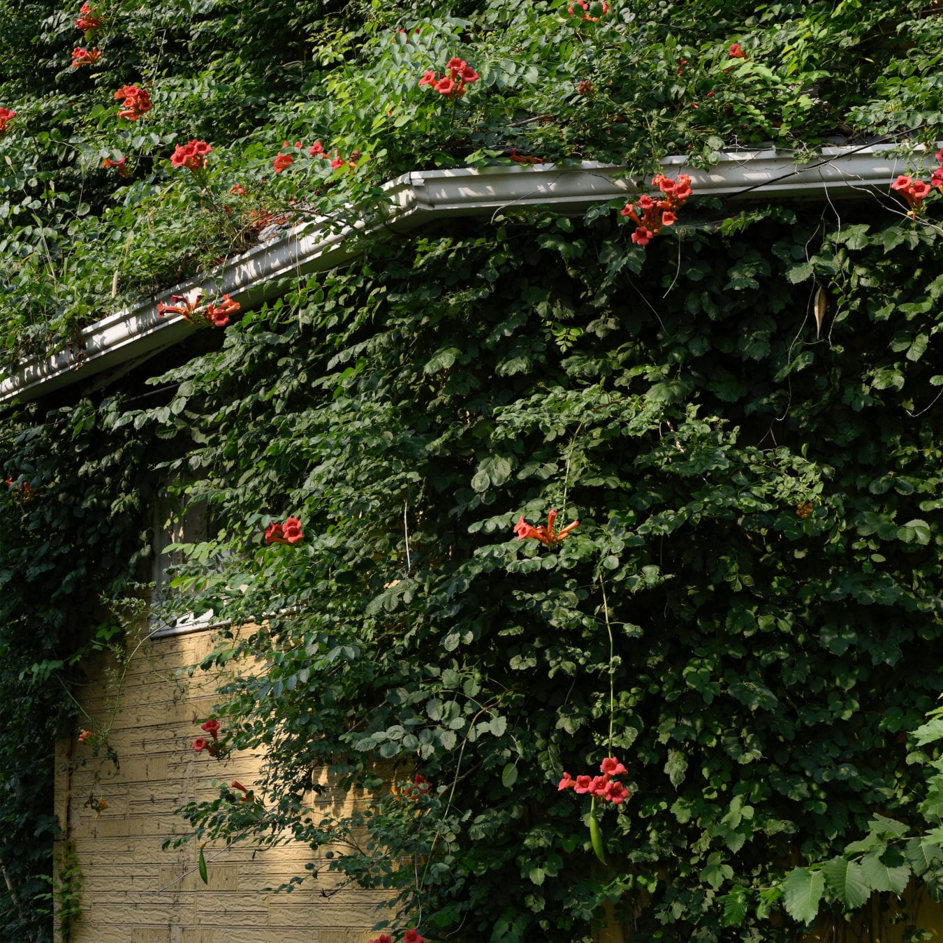 Zora J Murff pushes the boundaries of photography