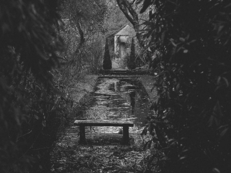 Robbie Lawrence and the magic of a secluded botanical garden