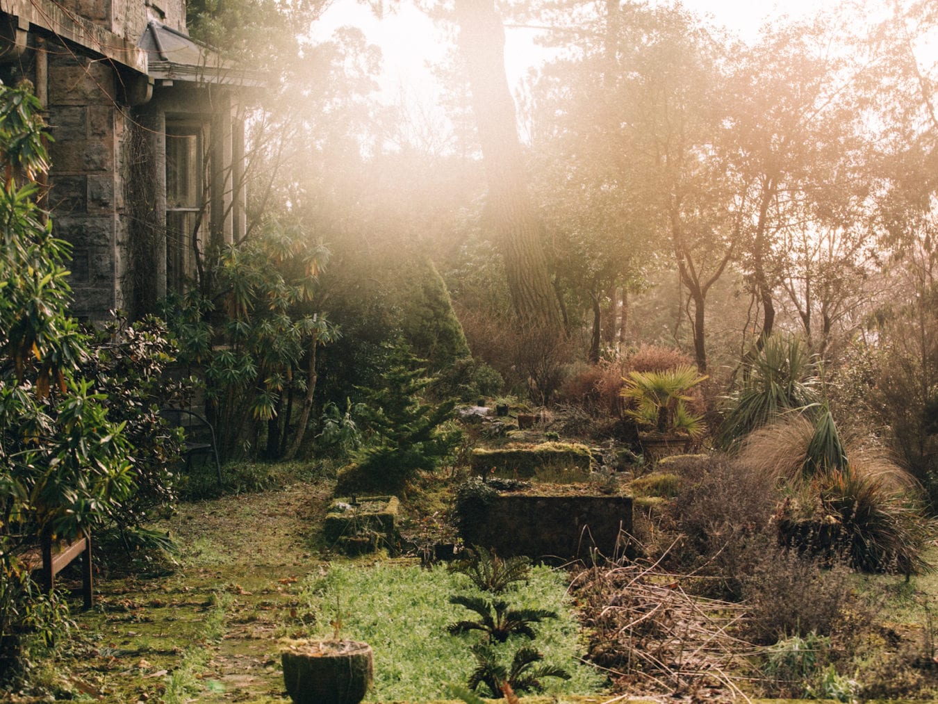 Robbie Lawrence and the magic of a secluded botanical garden