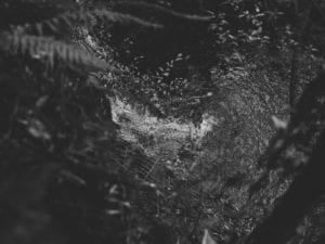 Robbie Lawrence and the magic of a secluded botanical garden