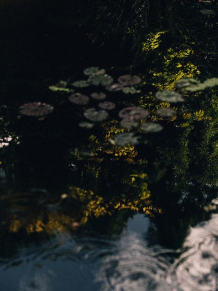 Robbie Lawrence and the magic of a secluded botanical garden