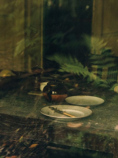 Robbie Lawrence and the magic of a secluded botanical garden